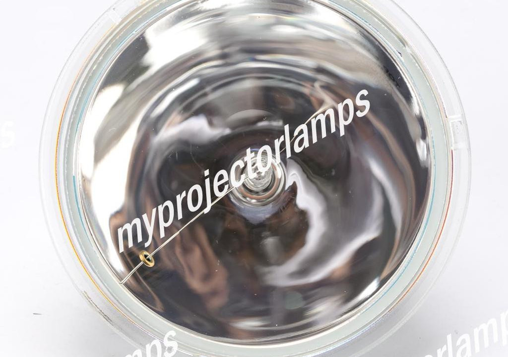 Barco R9842440 Bare Projector Lamp - MyProjectorLamps USA